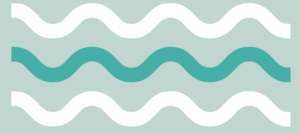 About PHDCCI – International Climate Summit 2024